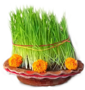 ALL YOU WANTED TO KNOW ABOUT NAVRATRI